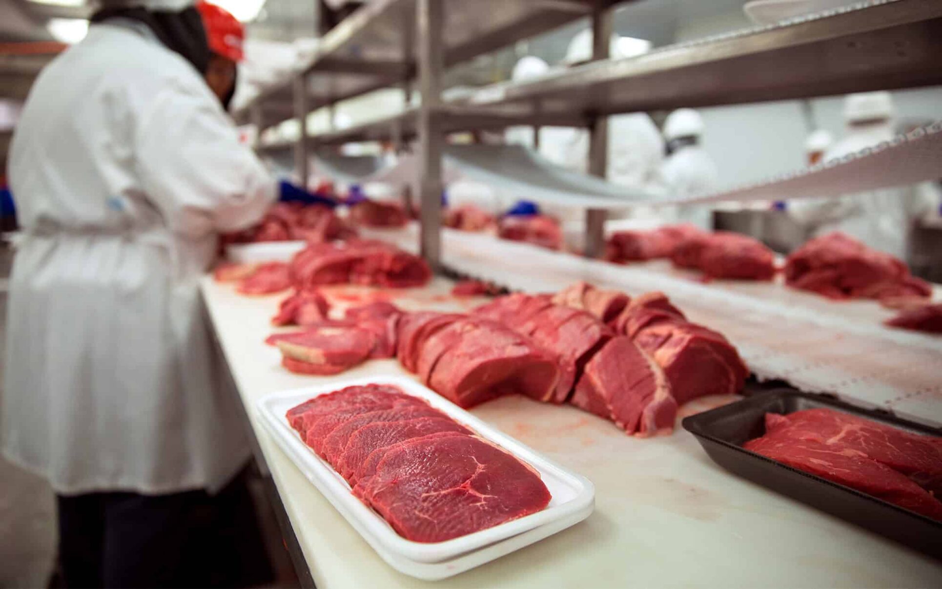 Understanding the 7 Principles of HACCP