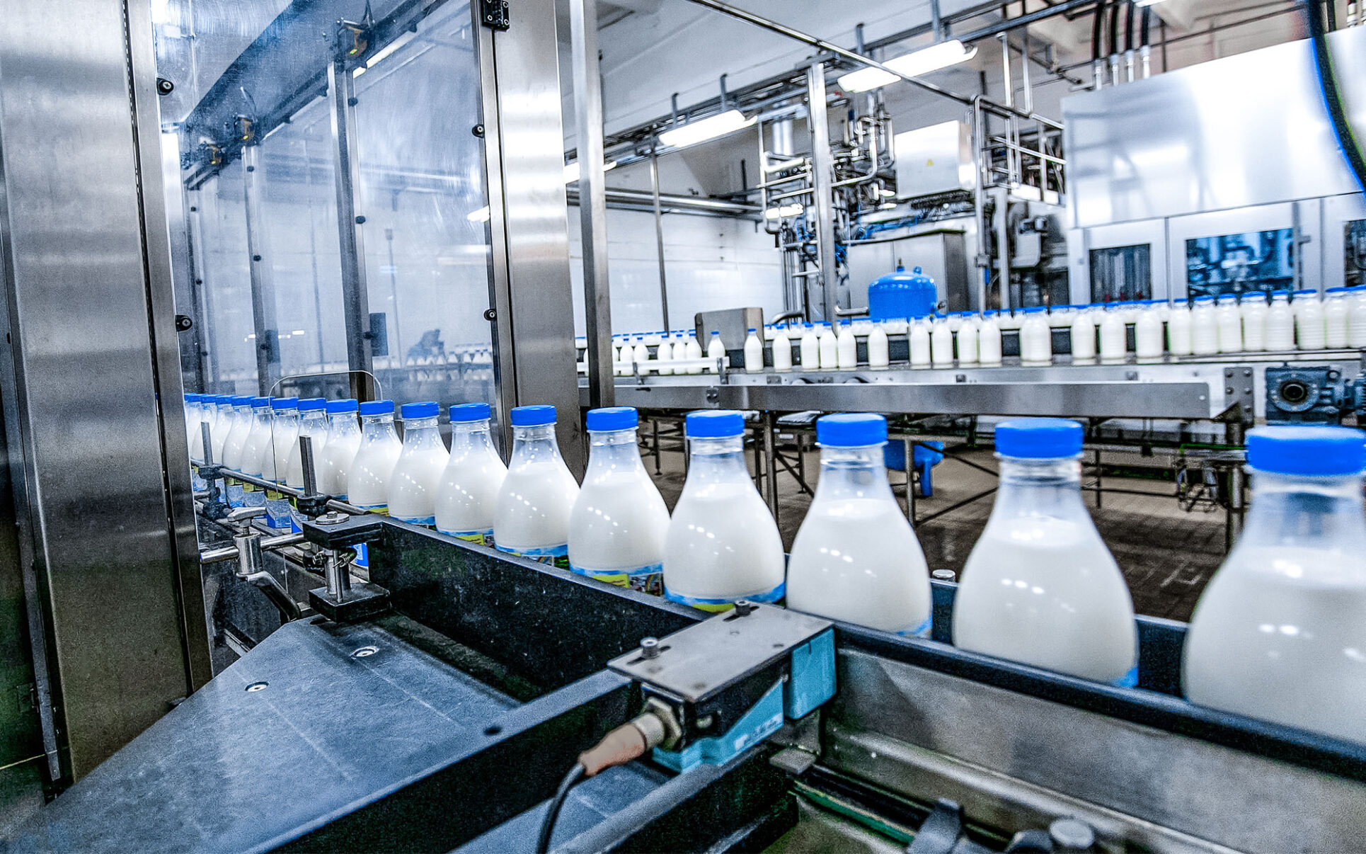 What Contamination Issues Are Faced in the Dairy Processing Industry?