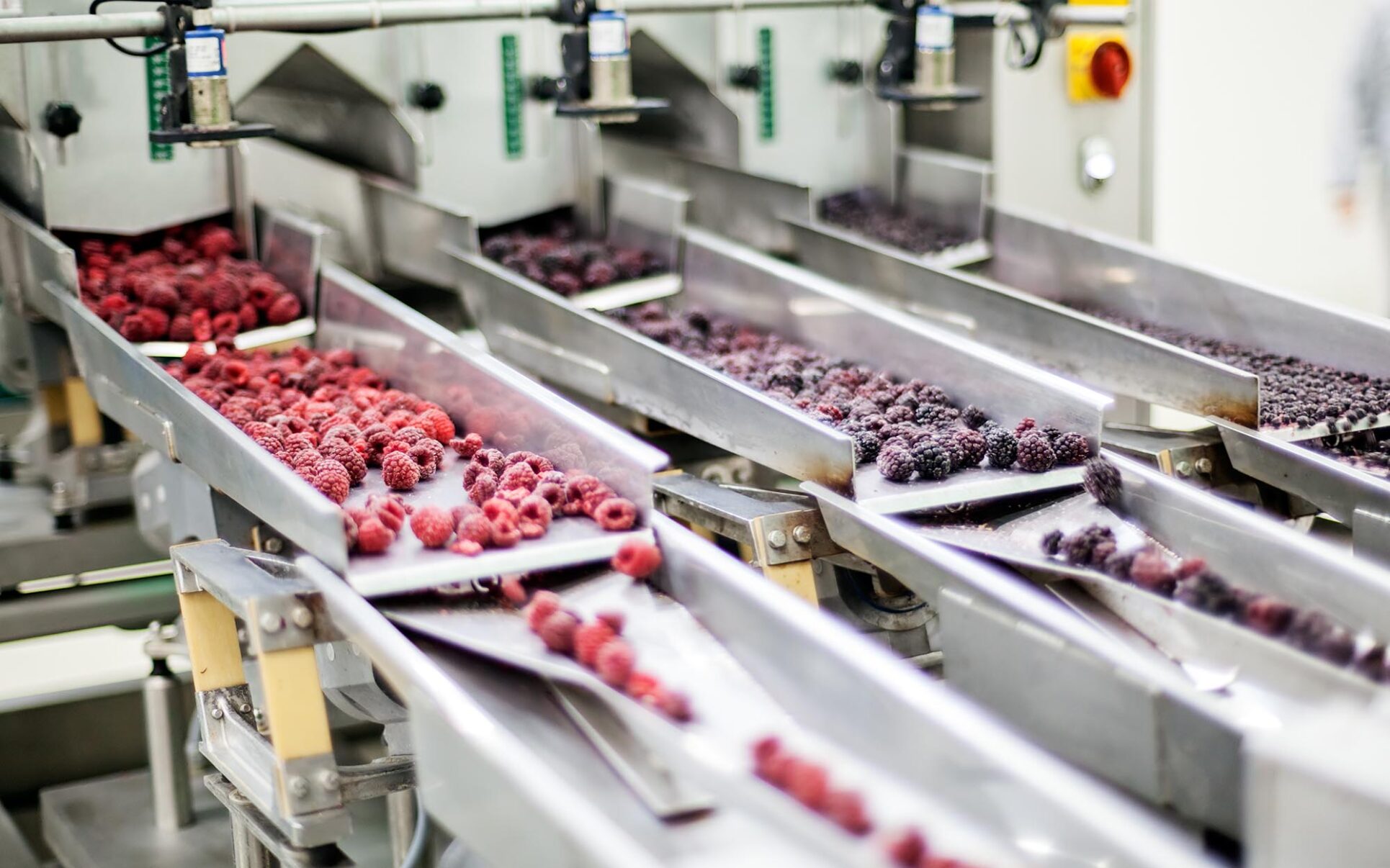 The Importance of Enhancing Efficiency In Food Processing Magnets