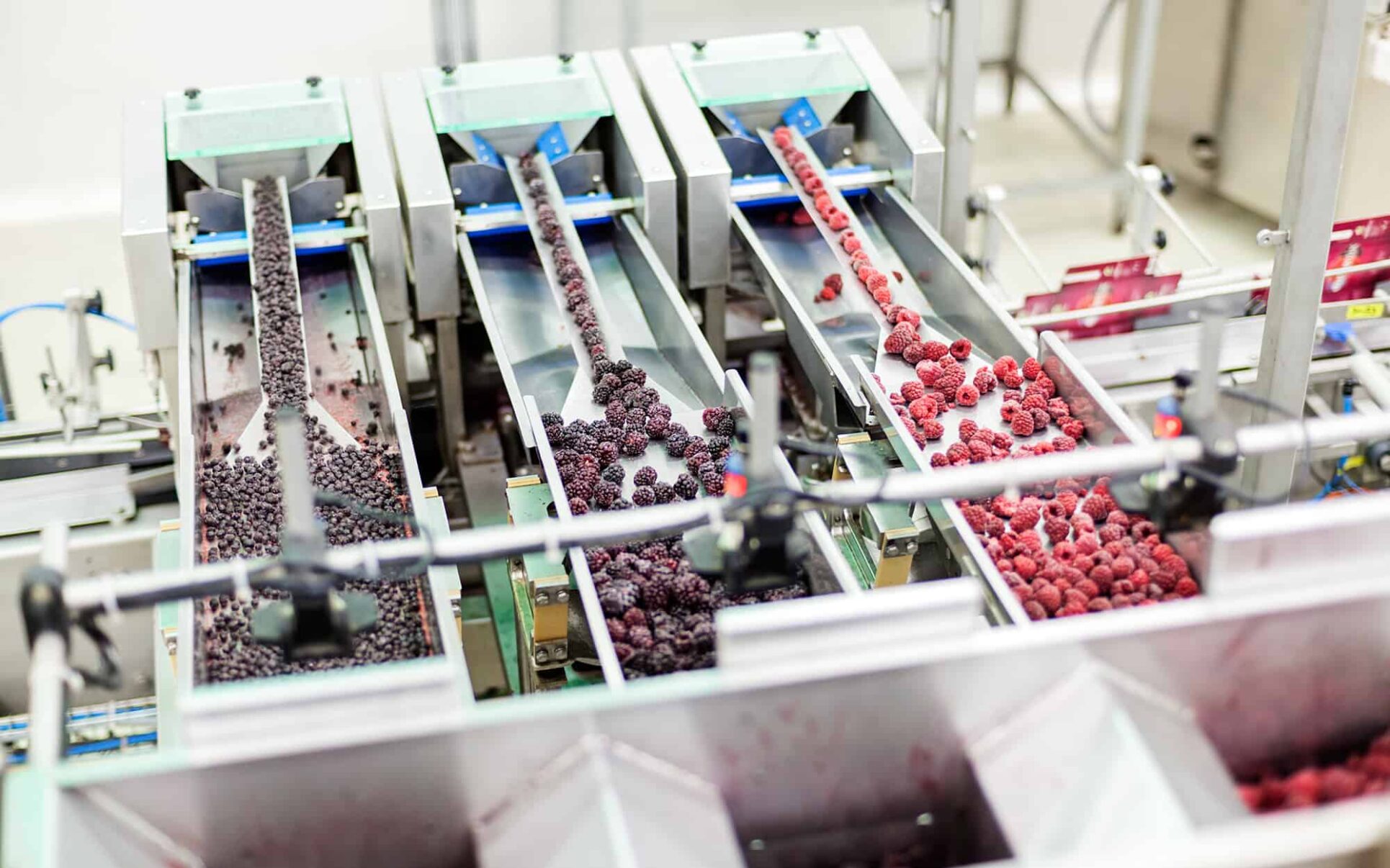 Explaining FDA Metal Detection Critical Limits