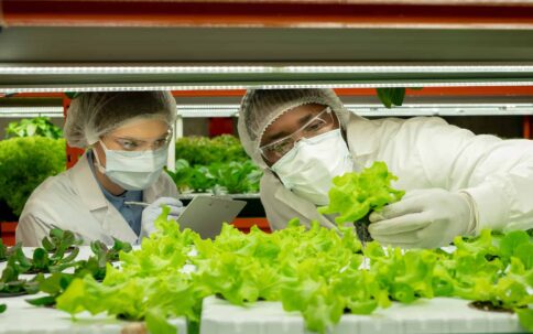 Explaining Food Processing Regulations